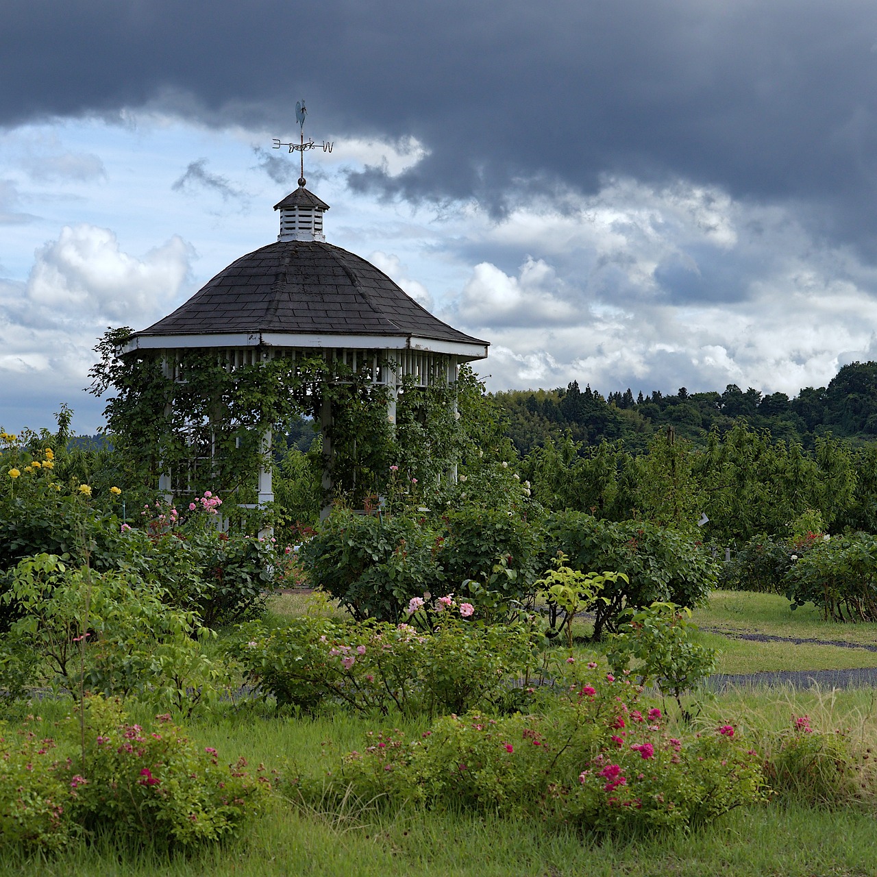 300+ Free Gazebo & Nature Images - Pixabay