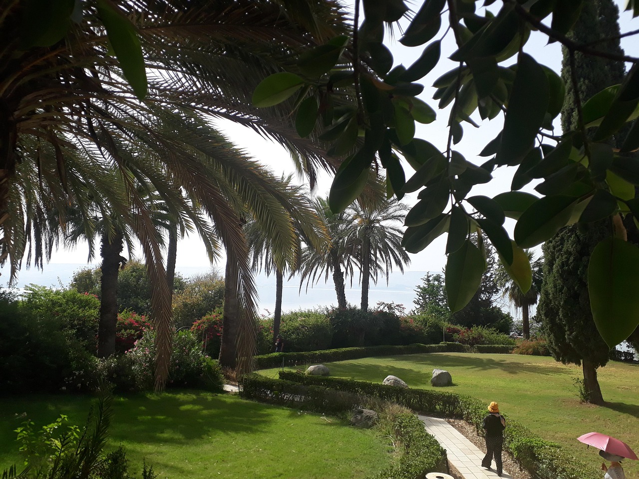 Landscape Yard Holy Land - Free photo on Pixabay - Pixabay