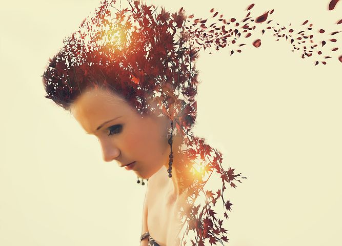 90+ Free Disperse & Dispersion Images - Pixabay