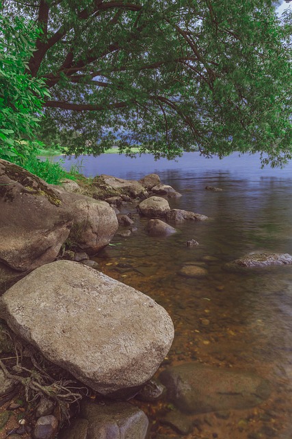 100,000+ Free Rain Nature Vertical & Nature Images - Pixabay