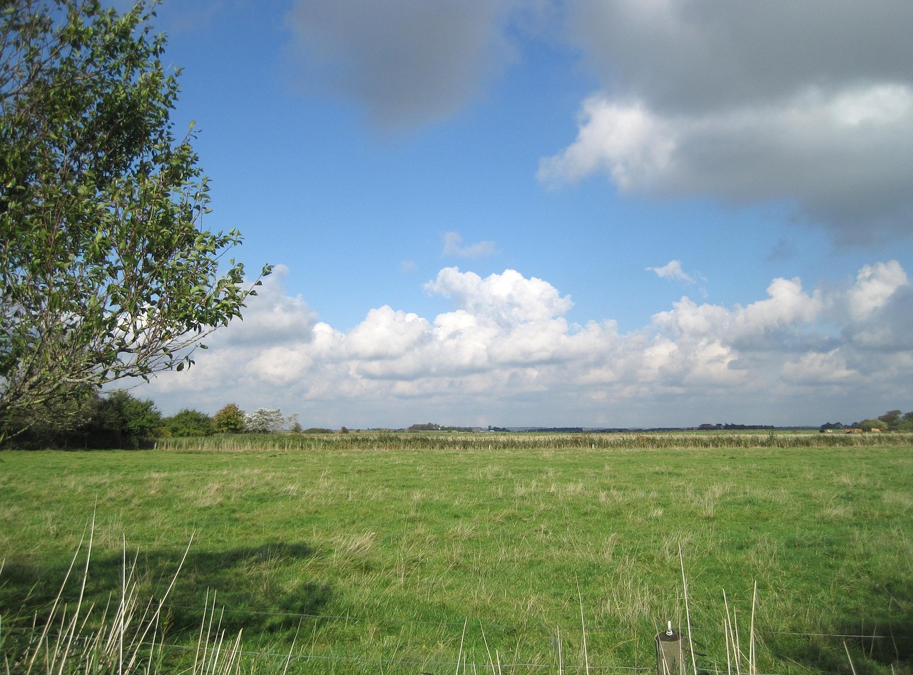 North Friesland Vacations Nature - Free photo on Pixabay - Pixabay