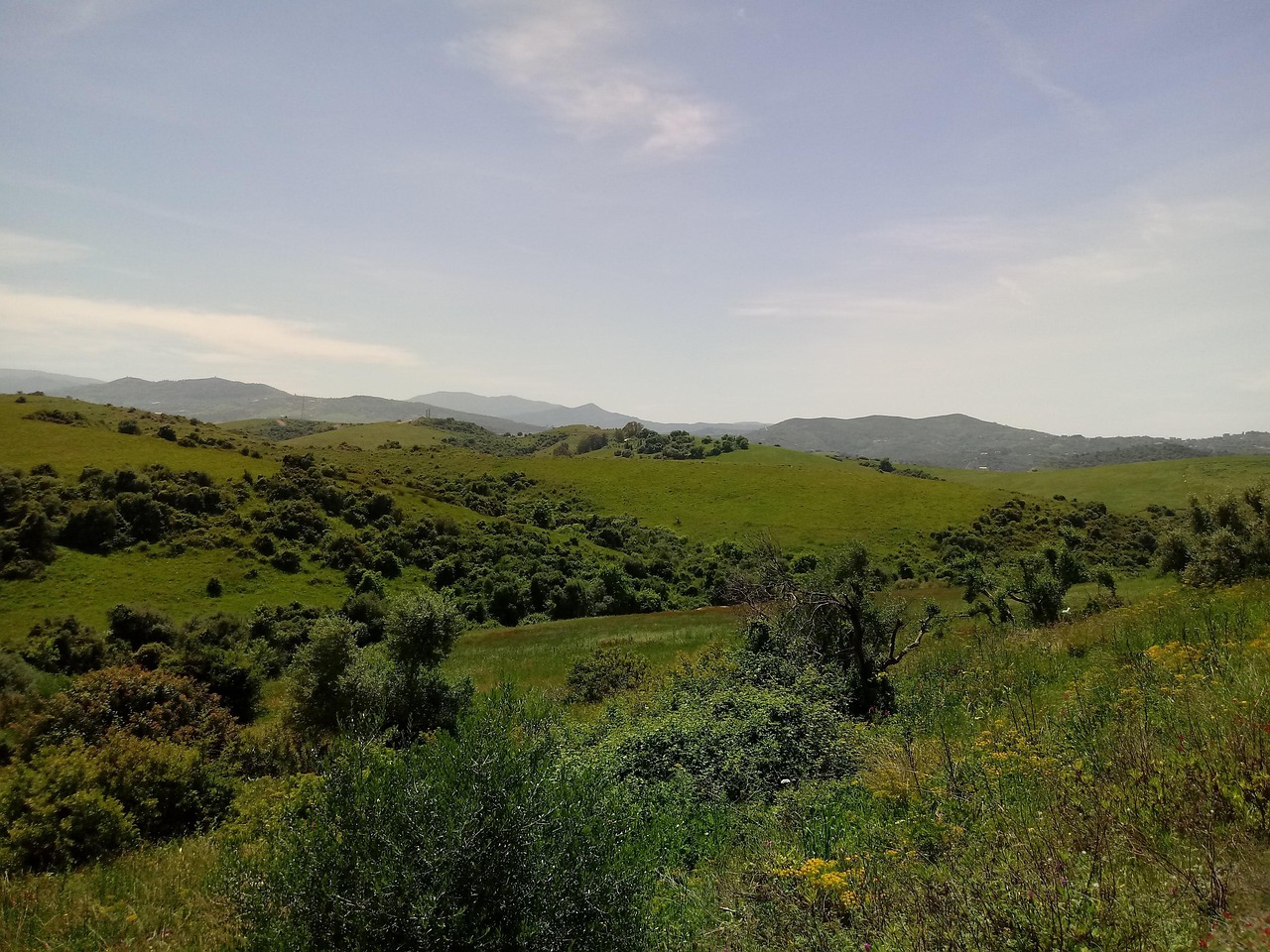 Jijel Verde - Foto gratis en Pixabay - Pixabay
