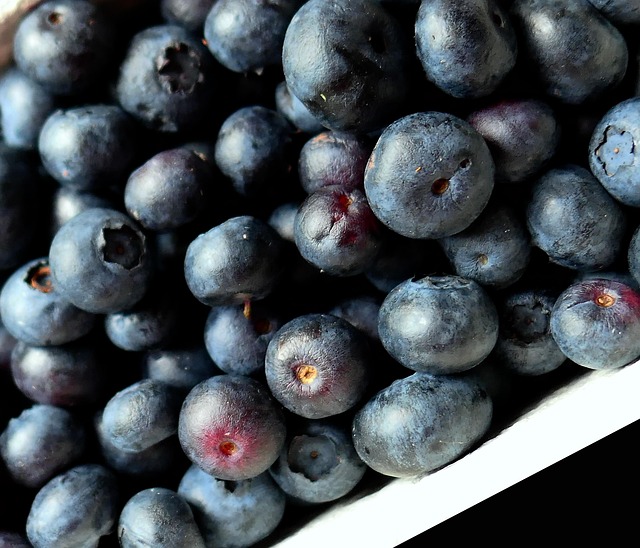 Arándanos Fruta Fresco - Foto gratis en Pixabay - Pixabay