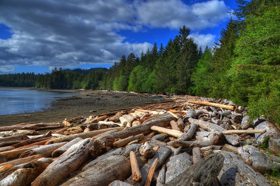 Alaska Beach Ocean - Free photo on Pixabay - Pixabay