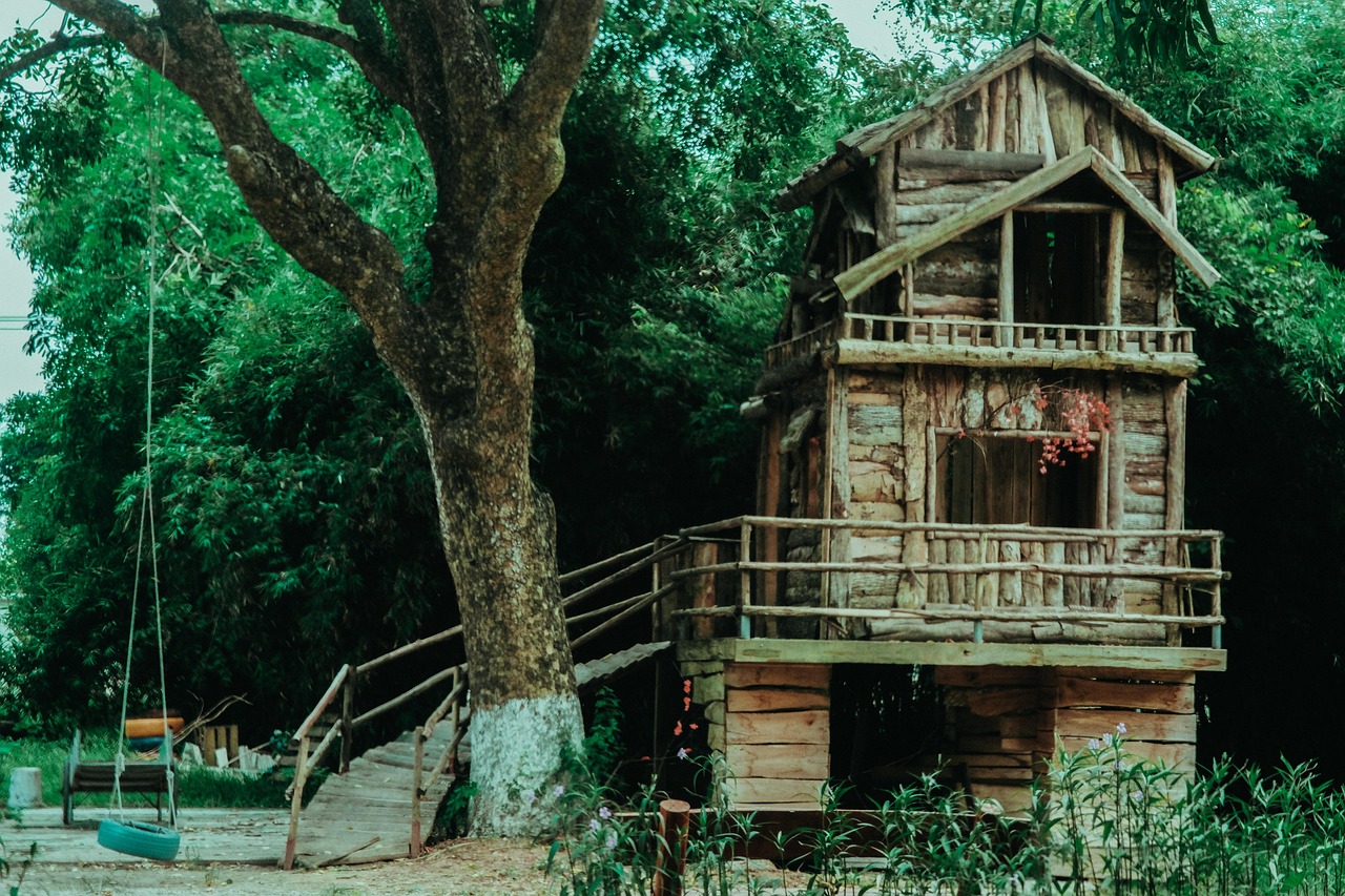 Treehouse Tree Nature - Free photo on Pixabay - Pixabay