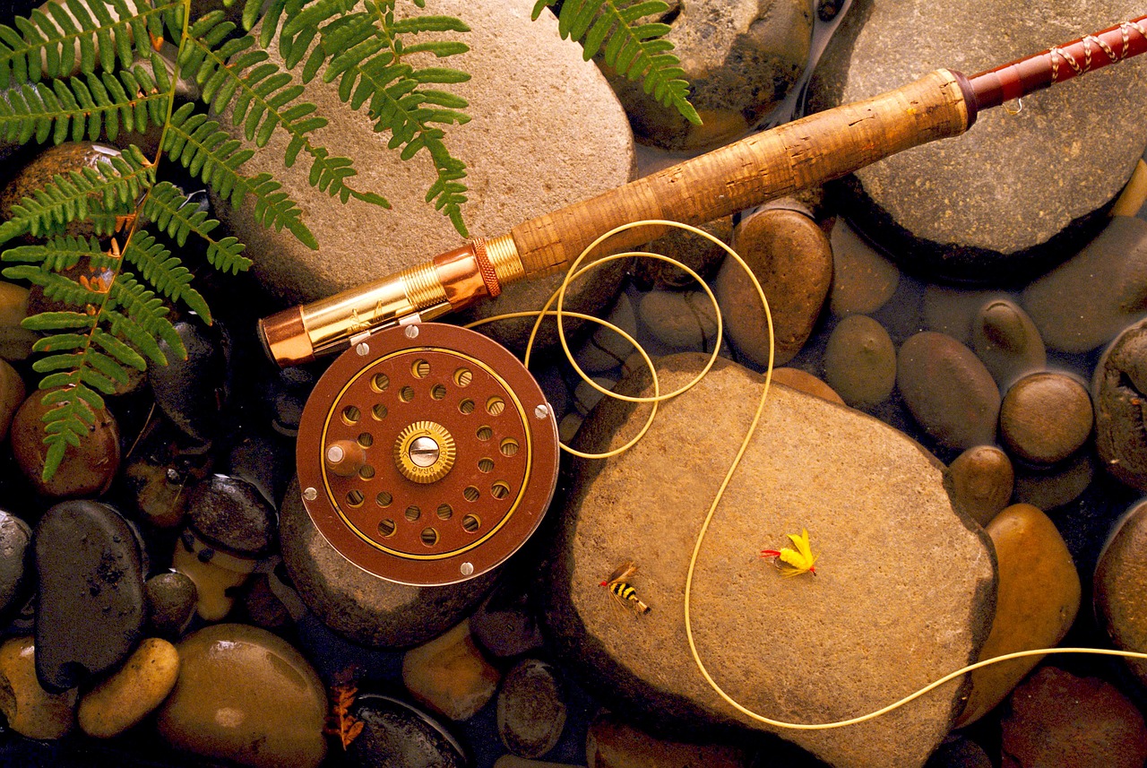 Fishing Rod The - Free photo on Pixabay - Pixabay