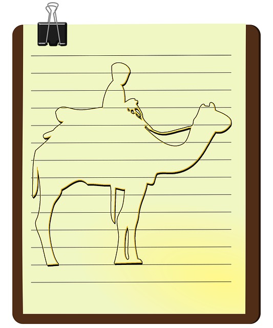 Download Camel, Camel Line Art, Camel Silhouette. Royalty-Free Stock ...