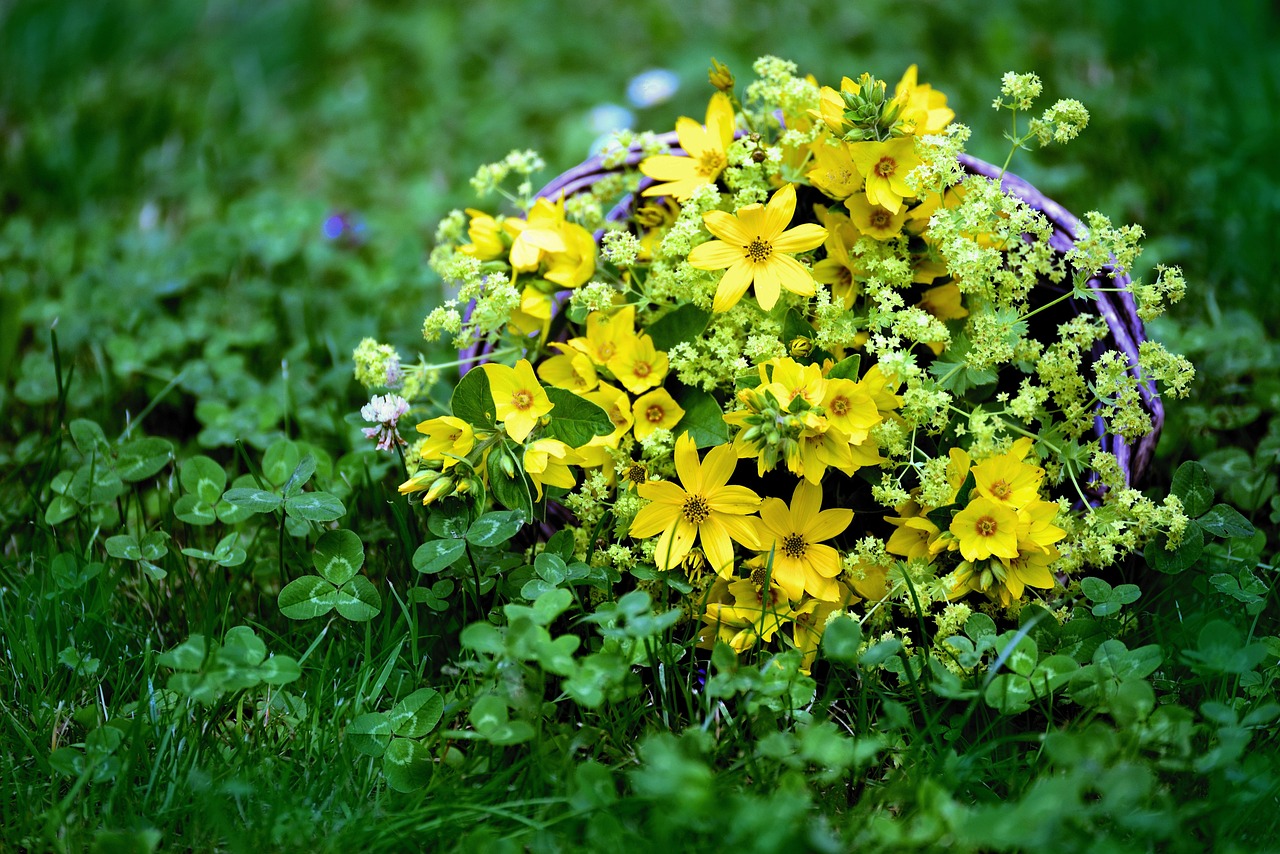 Seikat Bunga Padang Rumput - Foto gratis di Pixabay - Pixabay