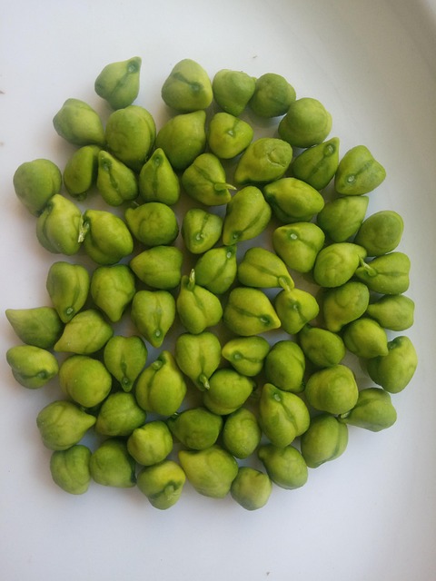 Garbanzo Green Chickpea - Free photo on Pixabay - Pixabay