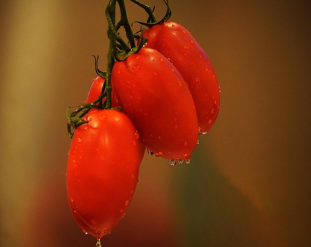 Tomates Rouge Fruit - Photo gratuite sur Pixabay - Pixabay