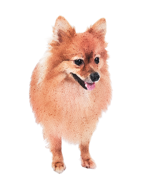 Explore 11,839+ Free Transparent Dog Illustrations: Download Now - Pixabay