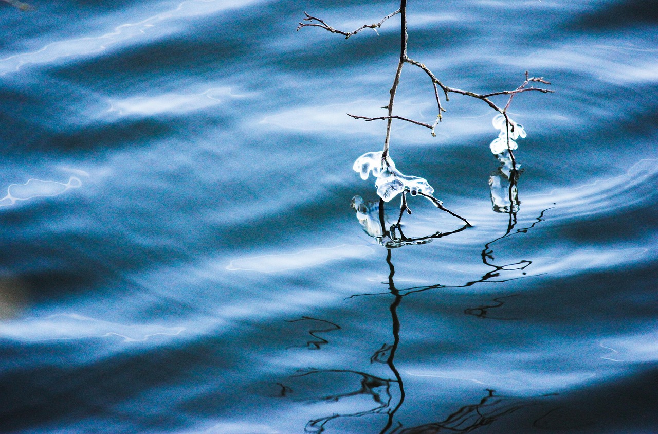 Ice Winter Water - Free photo on Pixabay - Pixabay