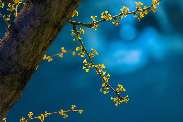 2,000+ Free March & Spring Images - Pixabay