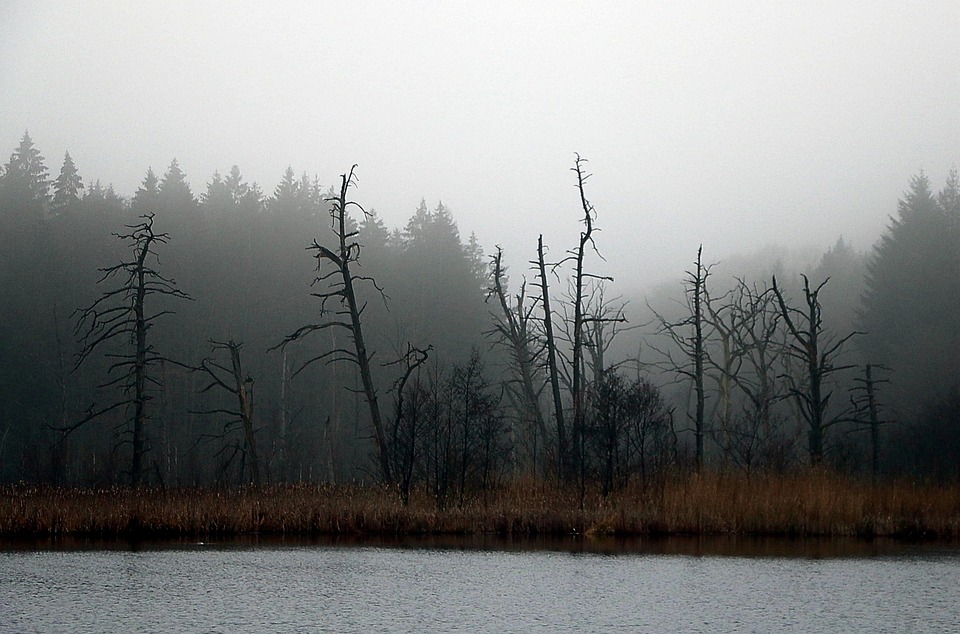Moor Death Water - Free photo on Pixabay