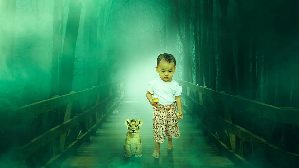Baby Photo Manipulation Éditeur De - Photo gratuite sur Pixabay - Pixabay