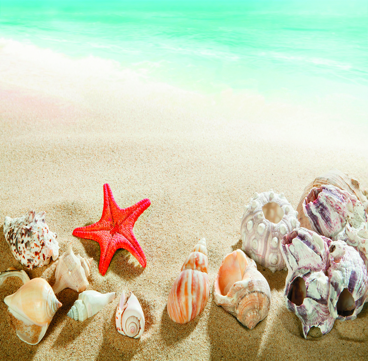 The Sand Of Sea, Starfish - Free photo on Pixabay - Pixabay