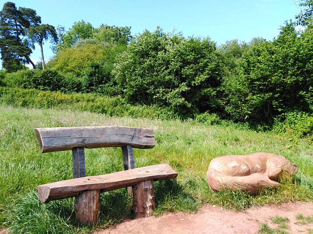 Coombe Valley Local Nature Reserve - Free photo on Pixabay - Pixabay