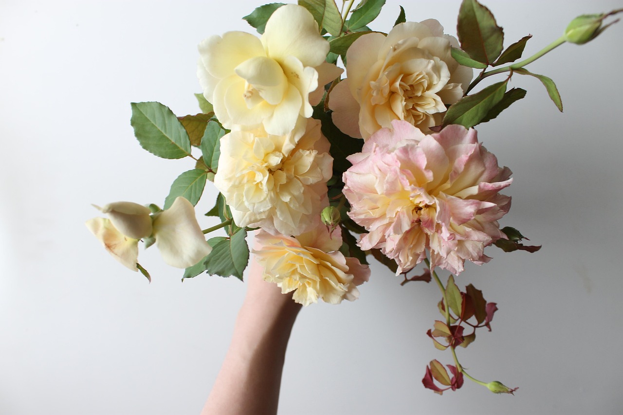10,000+ Free Give Thanks To God & Thank You Images - Pixabay