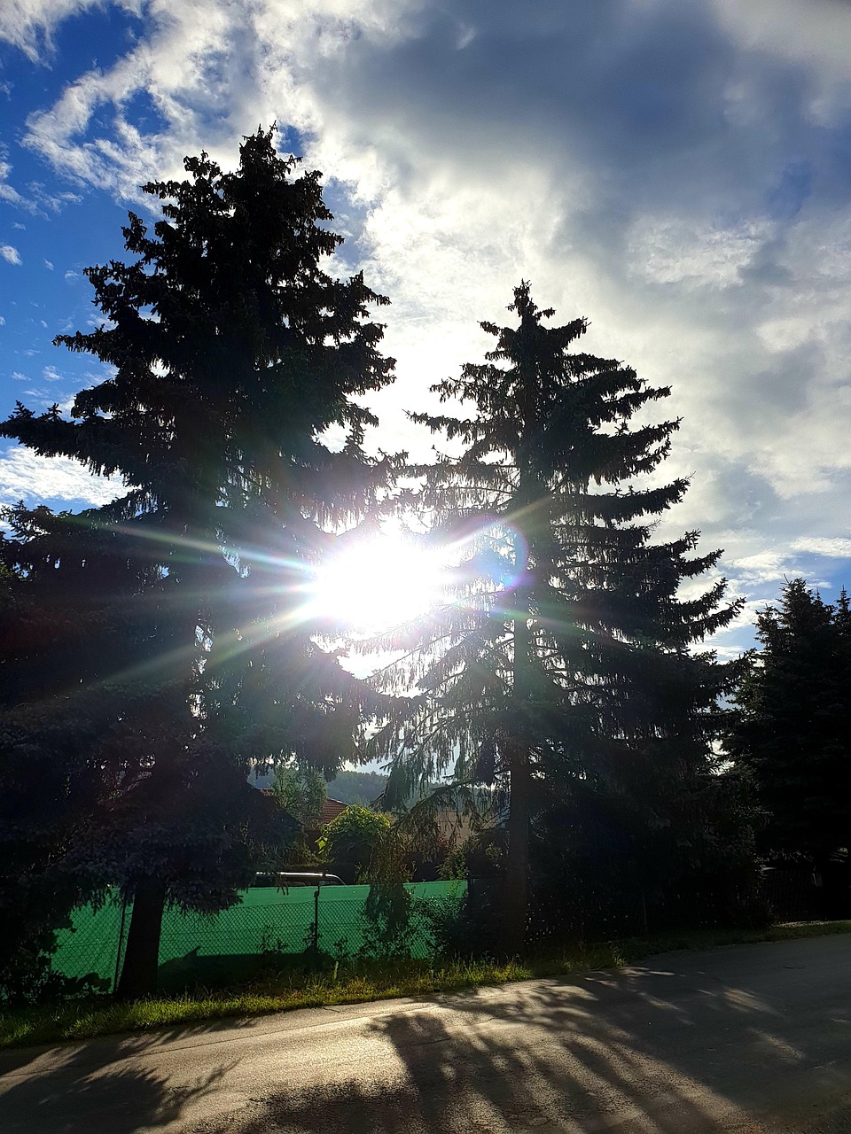 Morning Walk - Free photo on Pixabay - Pixabay