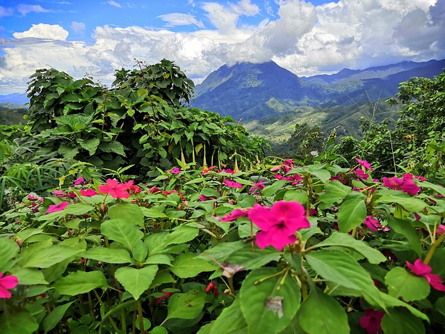 Sabah Gunung Alam - Foto gratis di Pixabay - Pixabay