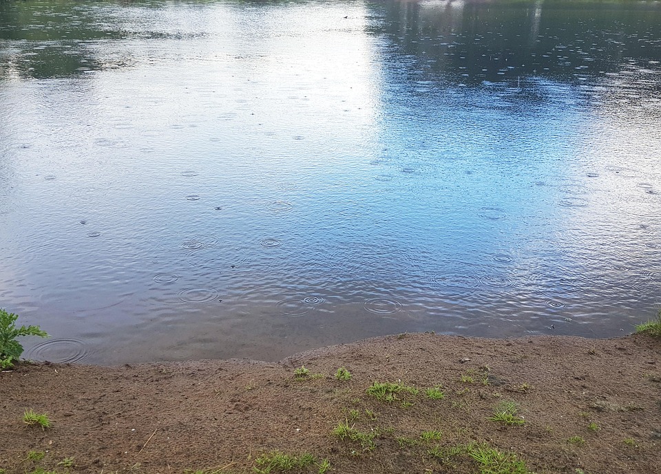 Lake Riverbank Rain - Free photo on Pixabay - Pixabay