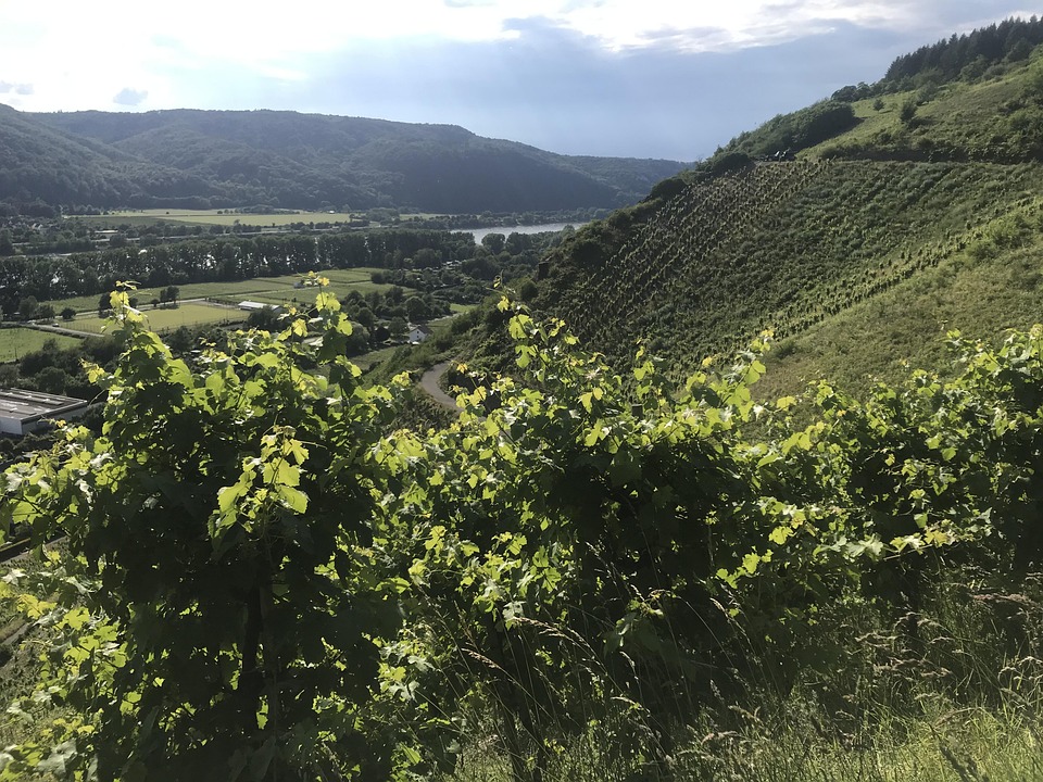 Rhine River - Free photo on Pixabay