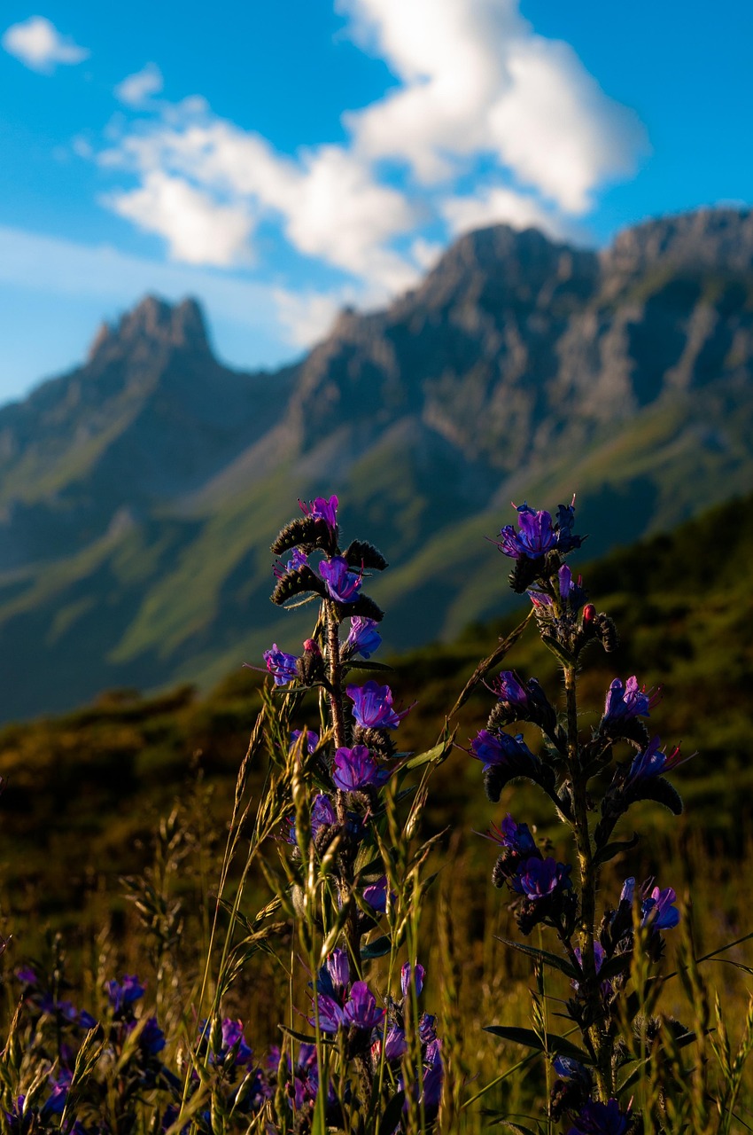 Peak Mountain Scenery - Free photo on Pixabay - Pixabay