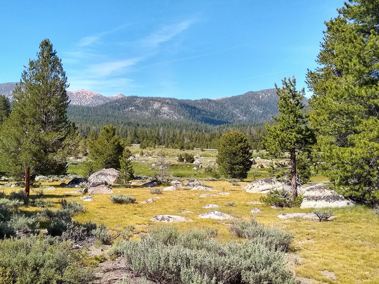 Hope Valley Wiese High Sierras - Kostenloses Foto auf Pixabay - Pixabay