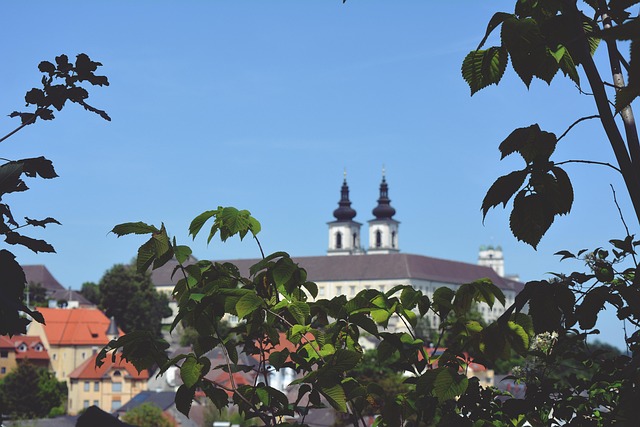 Church Leaves View - Free photo on Pixabay - Pixabay
