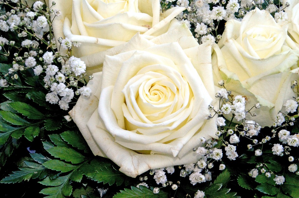 Des Roses Blanche Mariage - Photo gratuite sur Pixabay - Pixabay