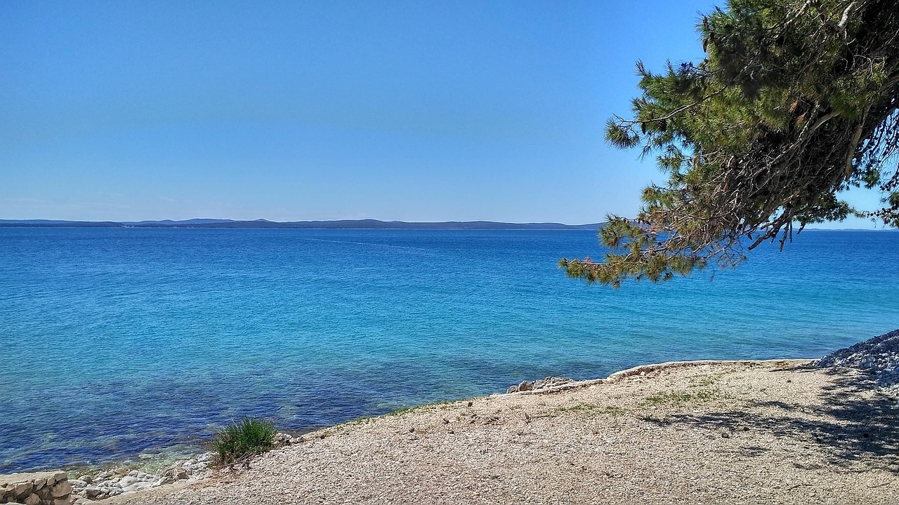 Hav Strand Träd - Gratis foto på Pixabay - Pixabay