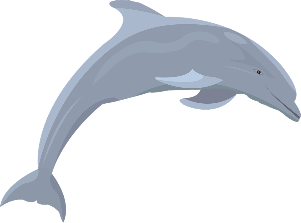 Scuba Dolphin Clip Art