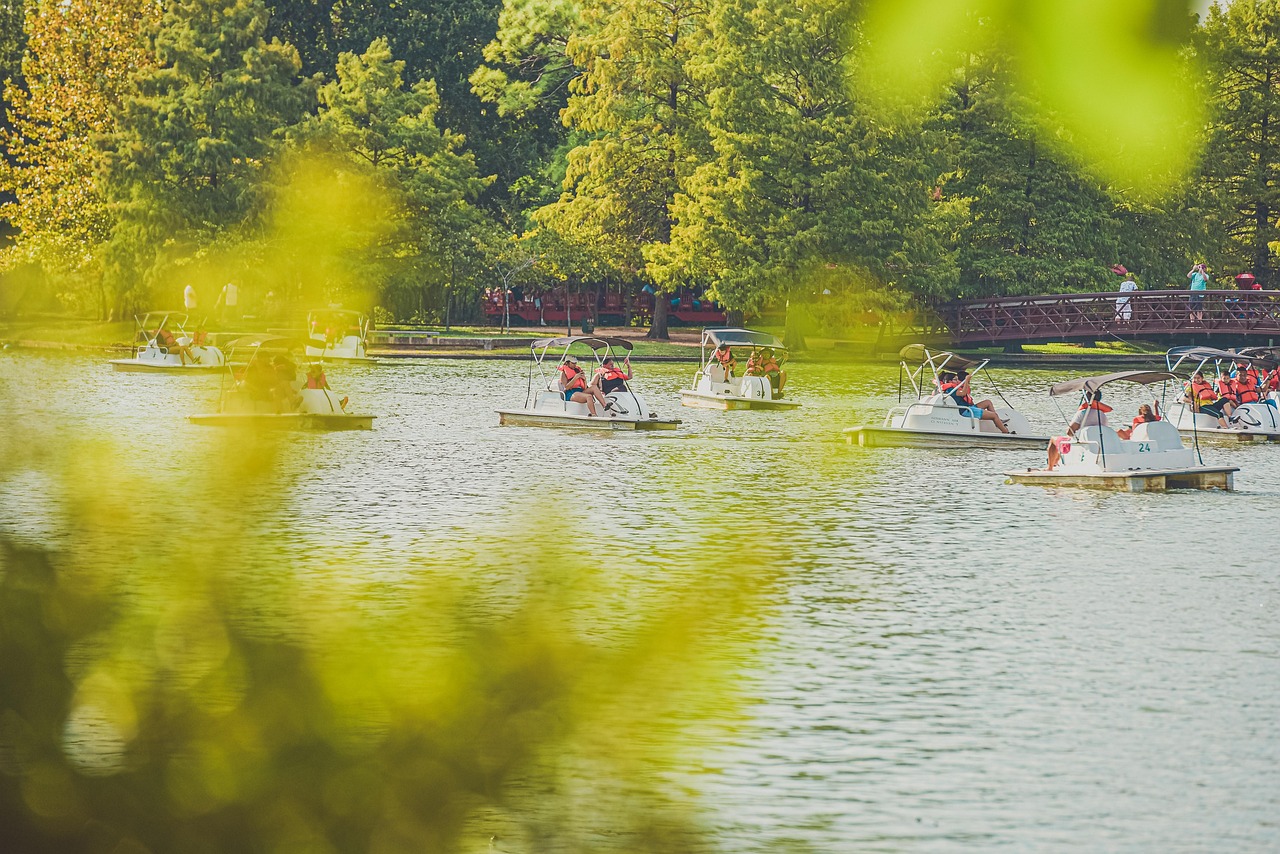 Paddle Boats Vann Moro - Gratis foto på Pixabay - Pixabay