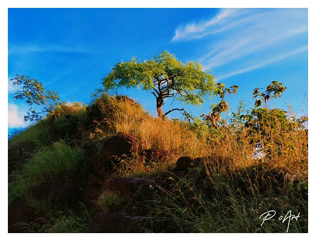 Mode Paysage Madhya Pradesh Inde - Photo gratuite sur Pixabay - Pixabay