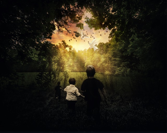 Niños Bosque Oscuro - Foto gratis en Pixabay - Pixabay