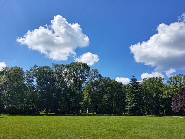Ciel Des Nuages Arbres - Photo gratuite sur Pixabay