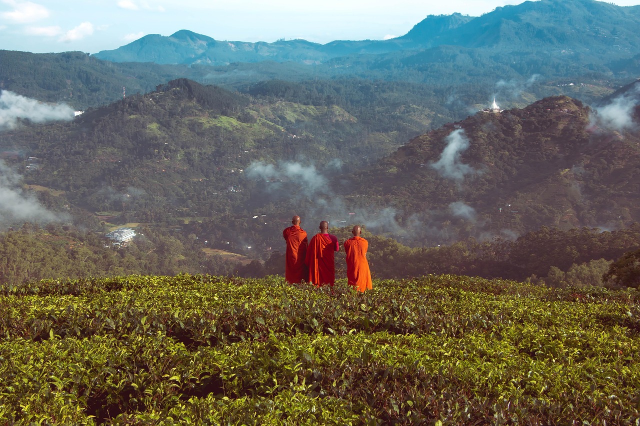 100+ Free Sri Lanka Buddhism & Sri Lanka Images - Pixabay