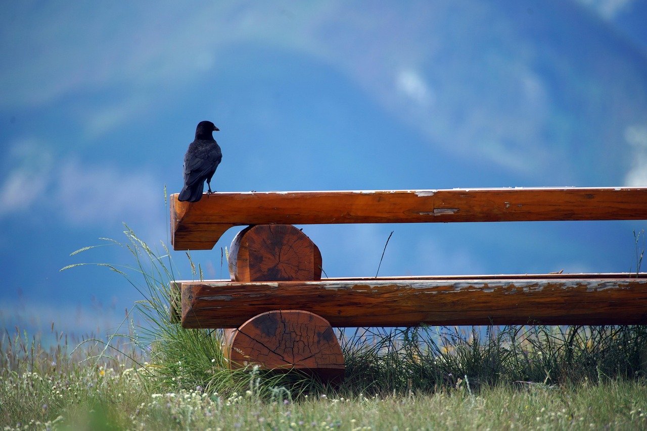 Crow Picnic Table Mountains - Free photo on Pixabay - Pixabay