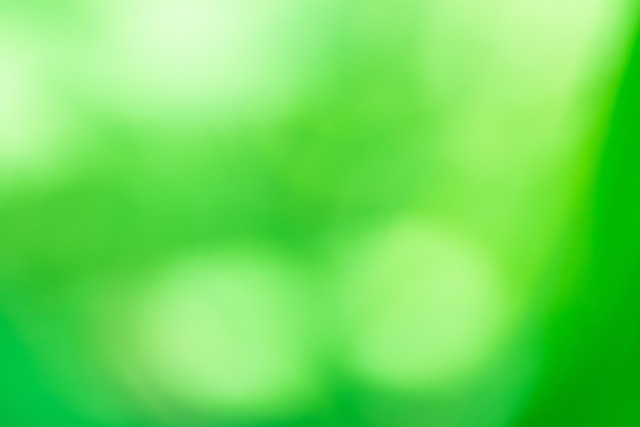Vert Contexte Se Brouiller - Photo gratuite sur Pixabay