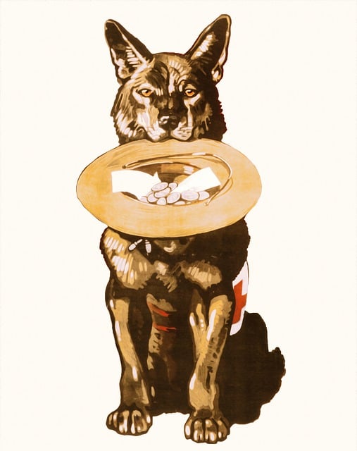 Explore 10,643+ Free Police Dog Illustrations: Download Now - Pixabay
