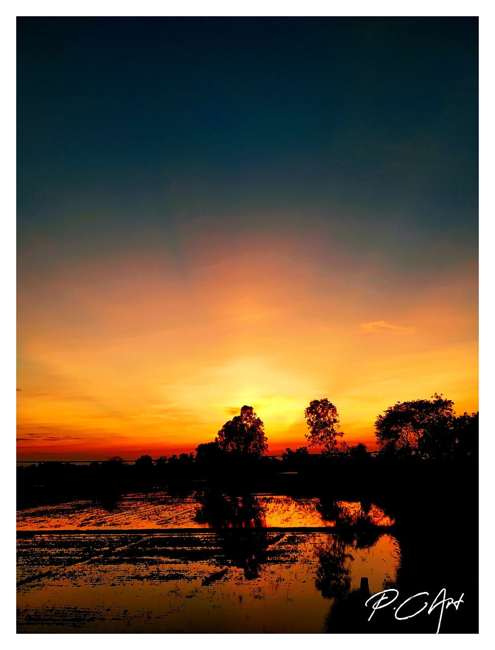 Beautyfull View Of Evening Natural - Free photo on Pixabay - Pixabay