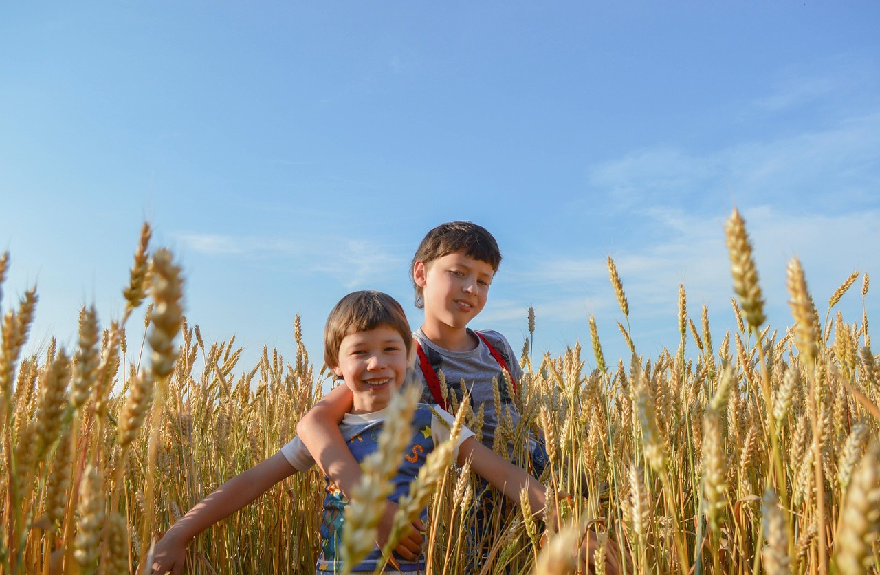 Kids Field Wheat - Free photo on Pixabay - Pixabay