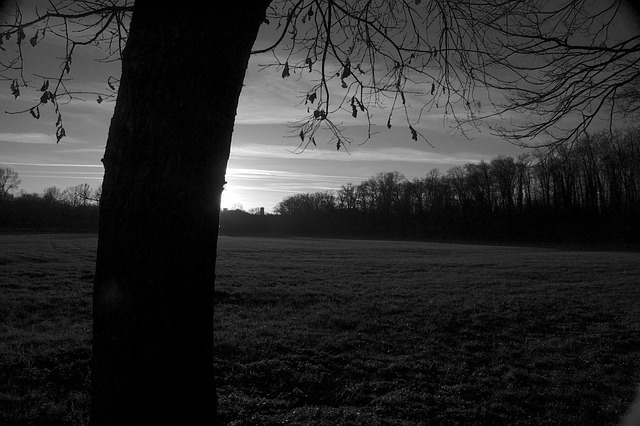 Monza Parque Pôr Do Sol - Foto gratuita no Pixabay - Pixabay