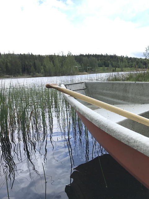 Lac Étang Canot À Rames Un Lit De - Photo gratuite sur Pixabay - Pixabay