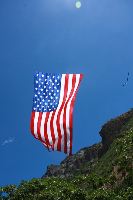 Bandiera Americana Stati Uniti - Foto gratis su Pixabay