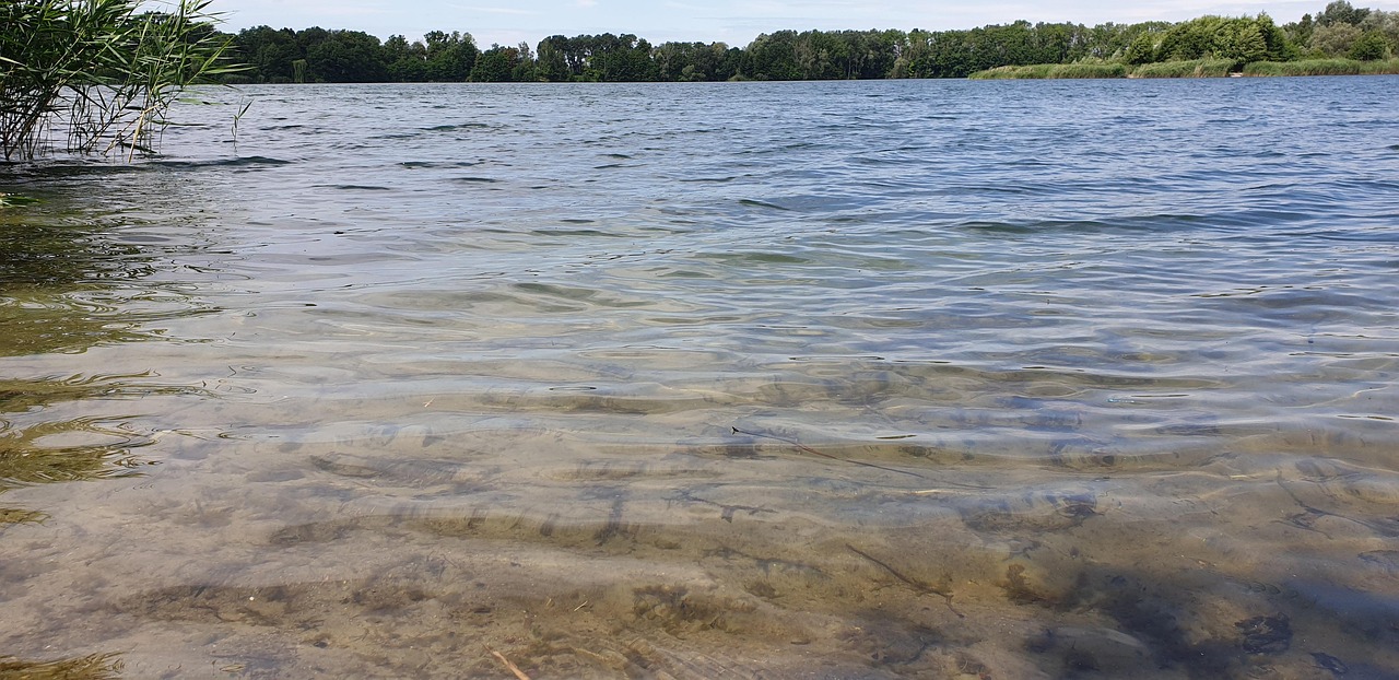Lake In Brandenburg Nature To - Free photo on Pixabay - Pixabay
