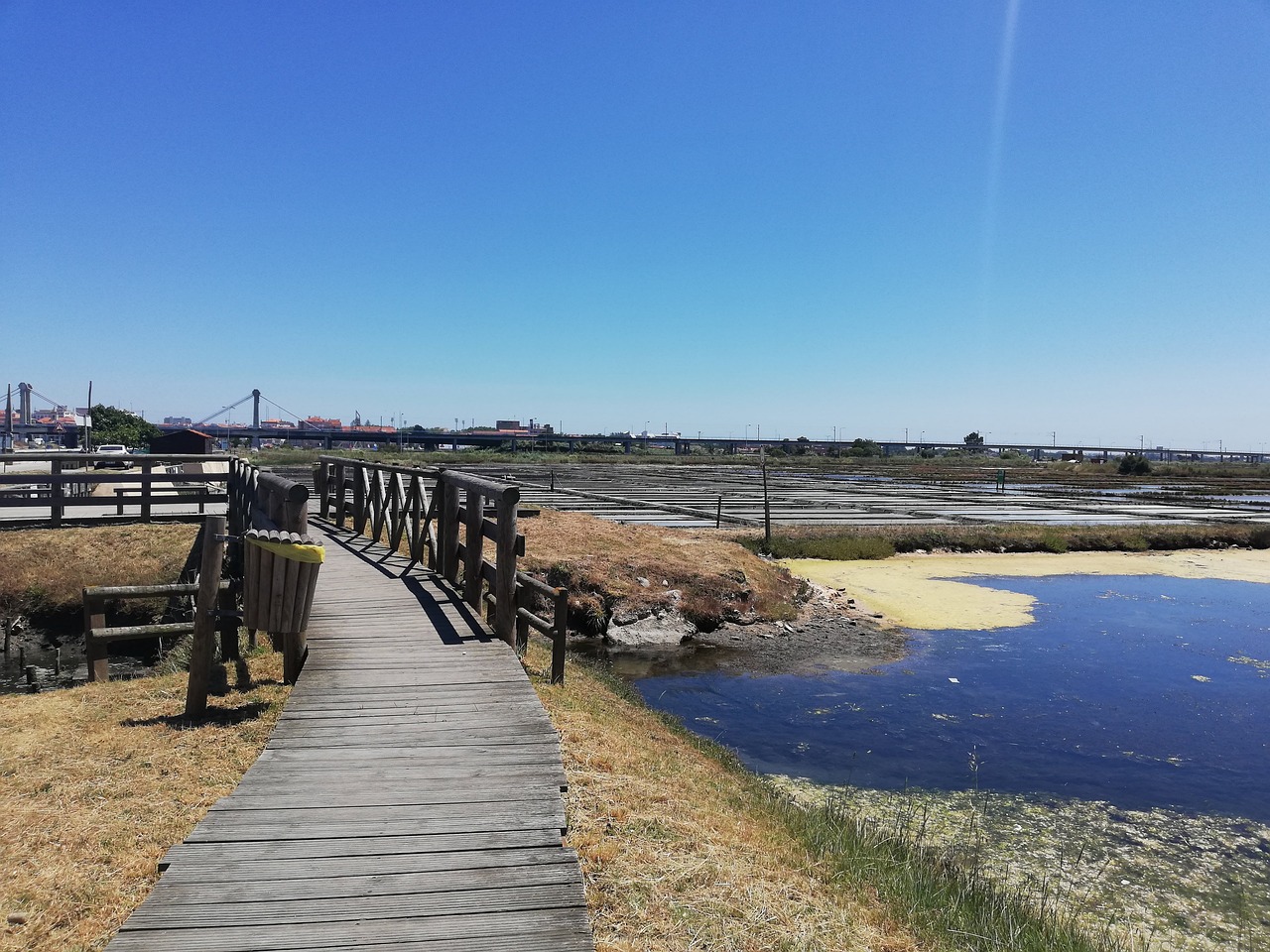 Portugal Aveiro Landscape - Free photo on Pixabay - Pixabay