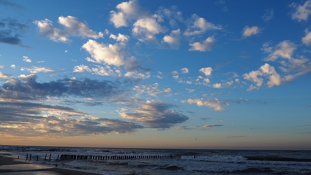 The Baltic Sea Nature - Free photo on Pixabay - Pixabay