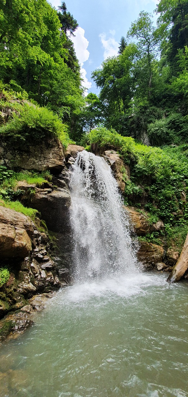 Cascade L'Été La Nature - Photo gratuite sur Pixabay