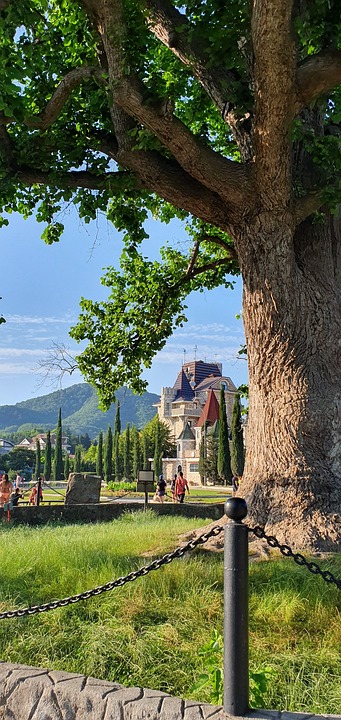 Tree Castle Story - Free photo on Pixabay - Pixabay